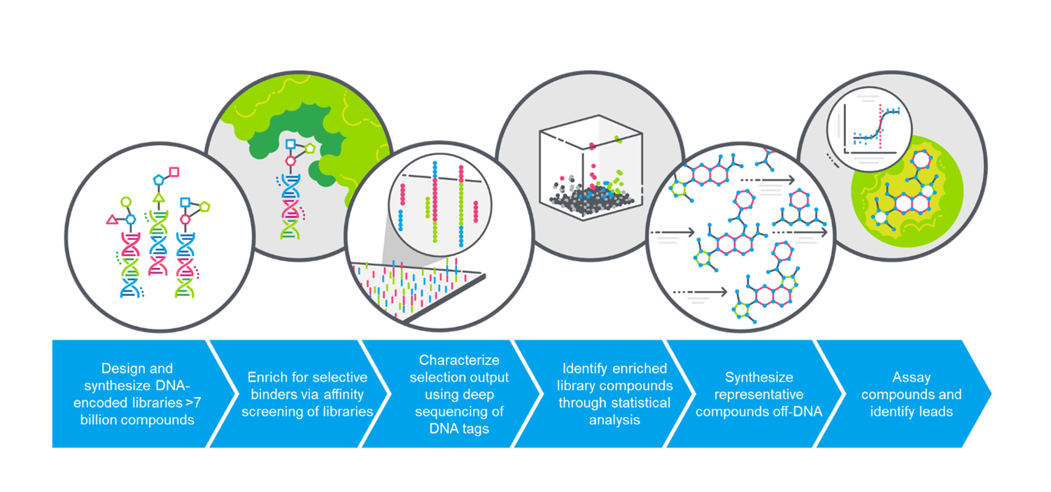Through The Lens Of A Lead Discovery Scientist Enabling Hit