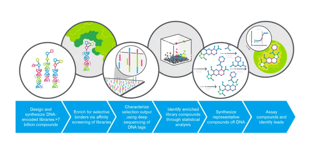 Through the Lens of a Lead Discovery Scientist: Enabling Hit ...